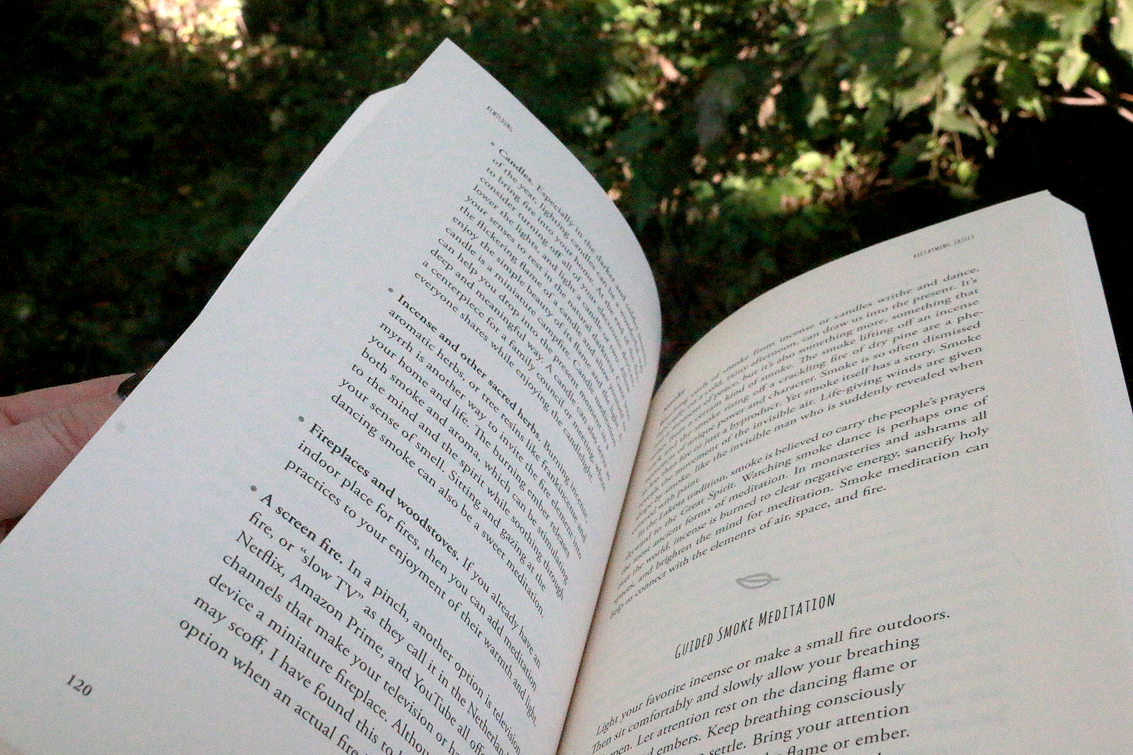 Rewilding: Meditations, Practices, and Skills for Awakening in Nature ...